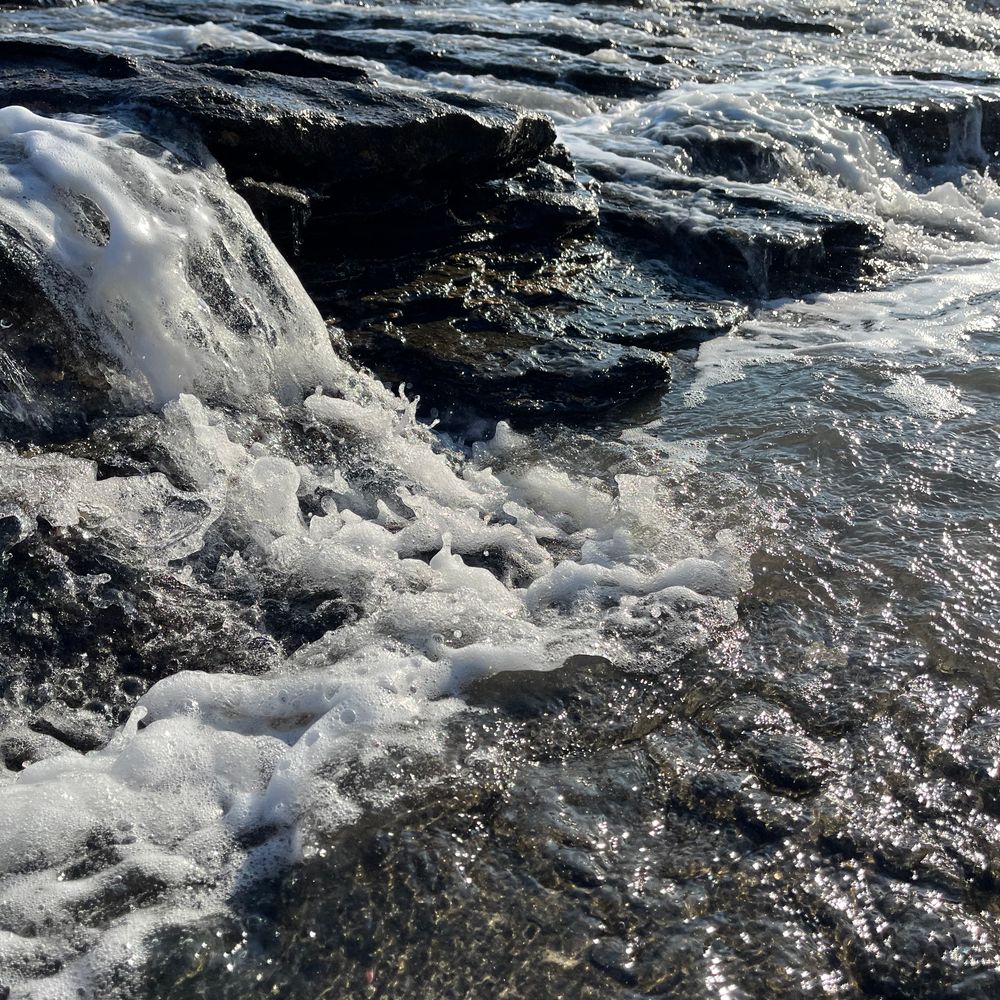 Rio de Janeiro and a friend